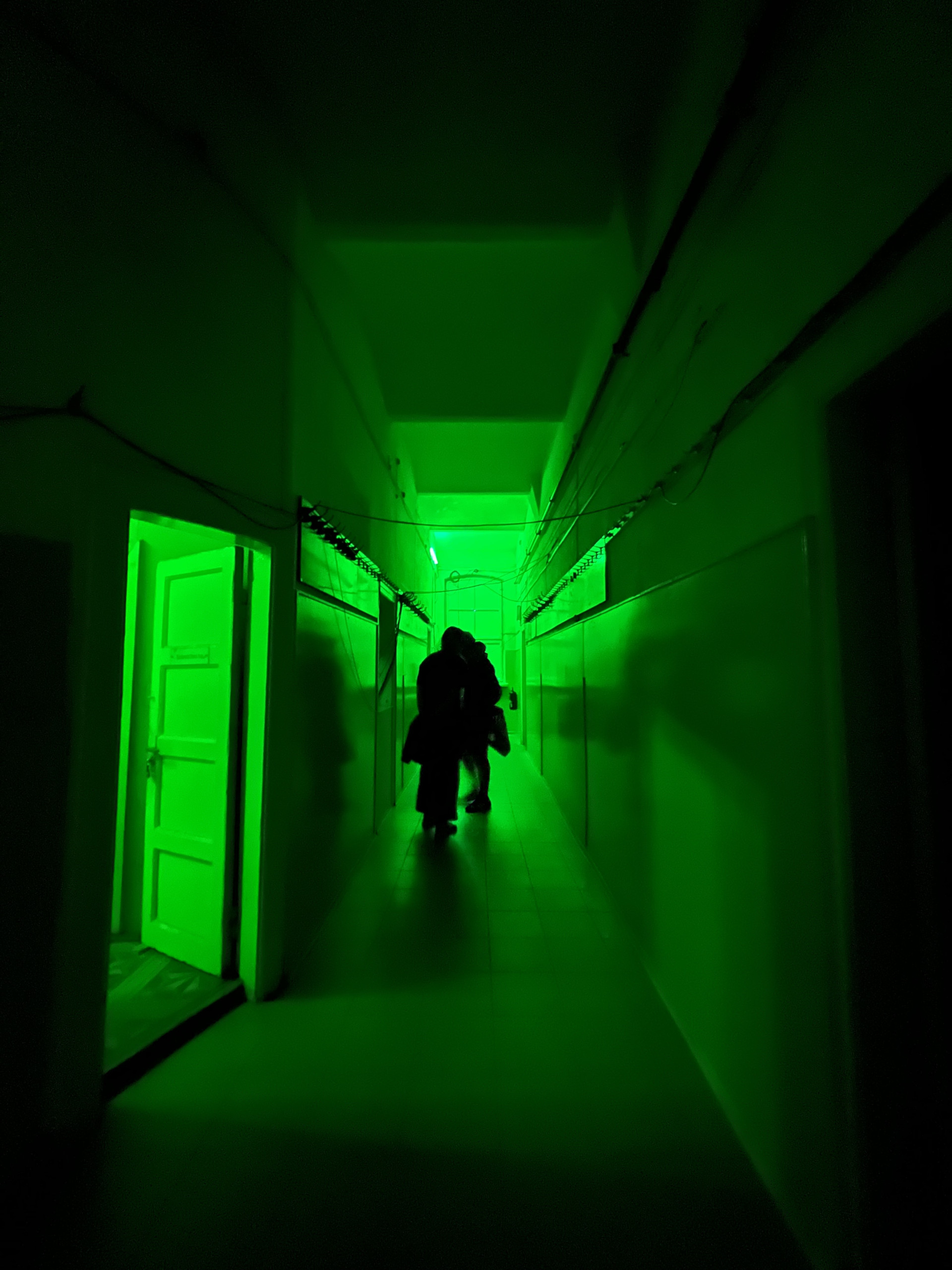 Near 555 nanometers, 2024