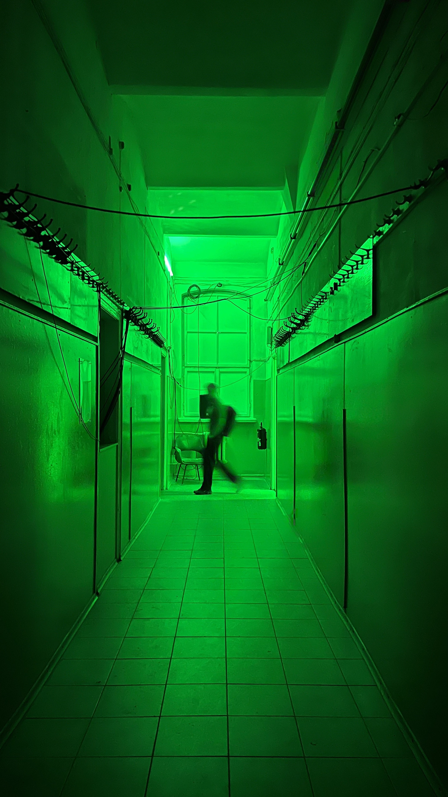 Near 555 nanometers, 2024